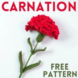 Easy Crochet Carnation Pattern To Make Flower - The Crafts